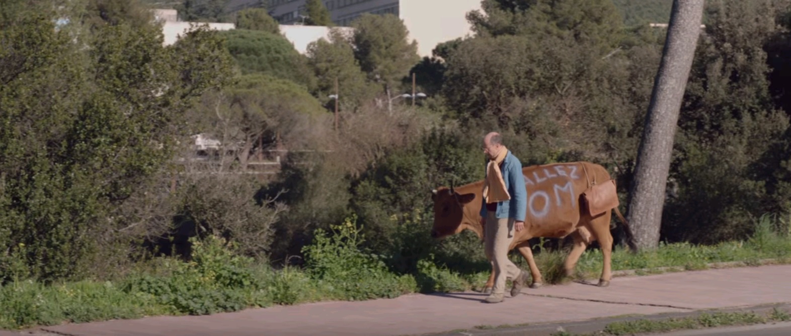 La Vache : bande-annonce et affiche pour le nouveau Jamel Debbouze