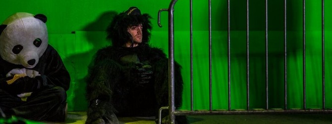 The Amazing Spider-Man 2 : le panda et le gorille