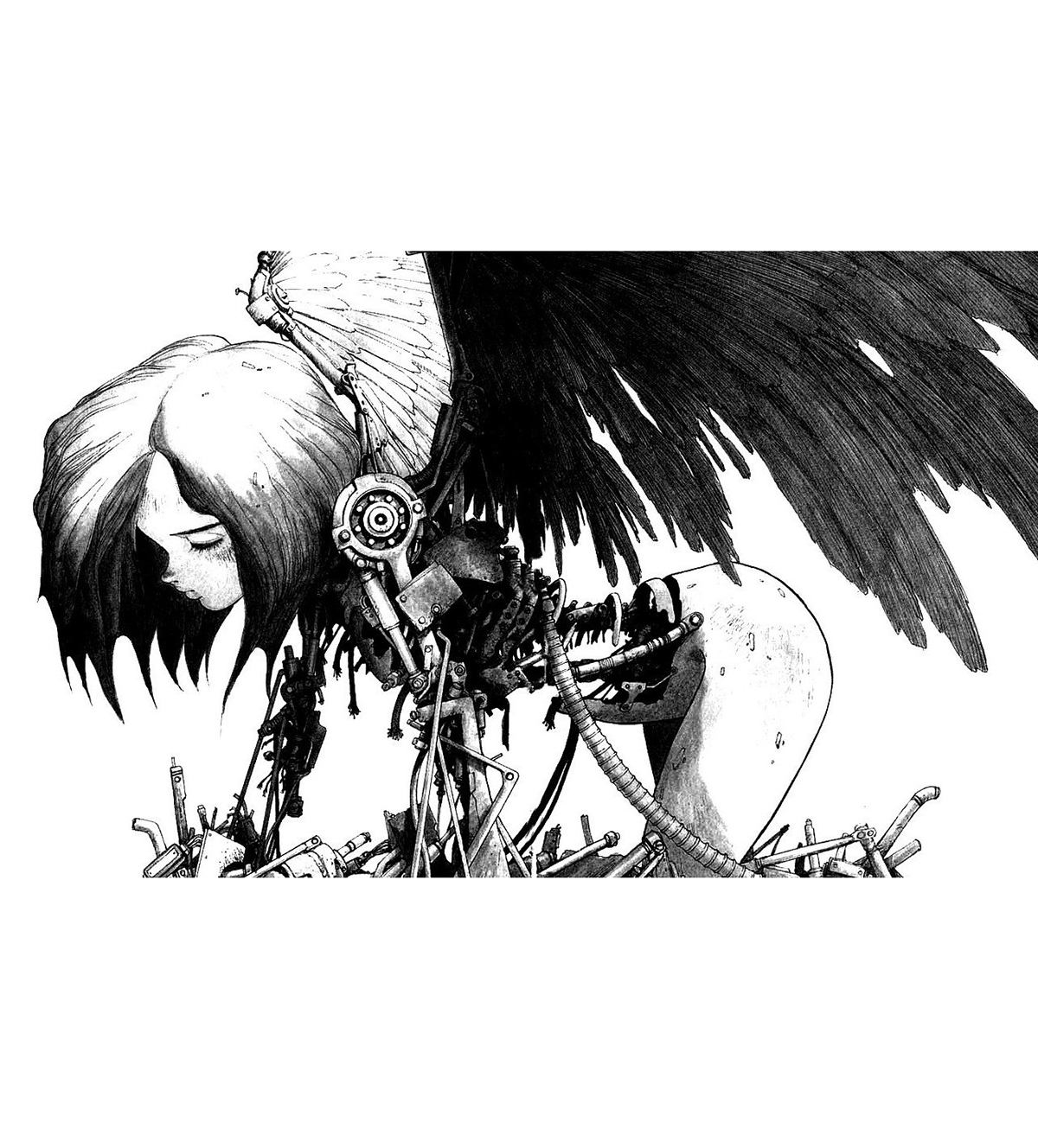 Gunnm, retour en force de la série culte